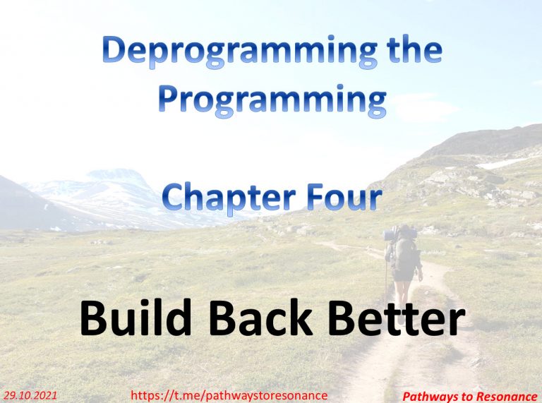 Deprogramming the Programming Chapter Four Build Back Better - Pathways ...