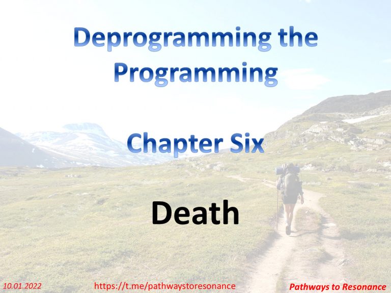 Deprogramming the Programming Chapter Six Death - Pathways to Resonance